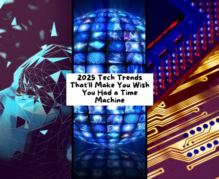 Why You NEED This Asian Beetle Trap DIY with Vinegar—It’s a Game ...